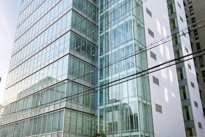 “Puberulic Acid” in Beni-Koji Supplements; Kobayashi Wants to Keep ...