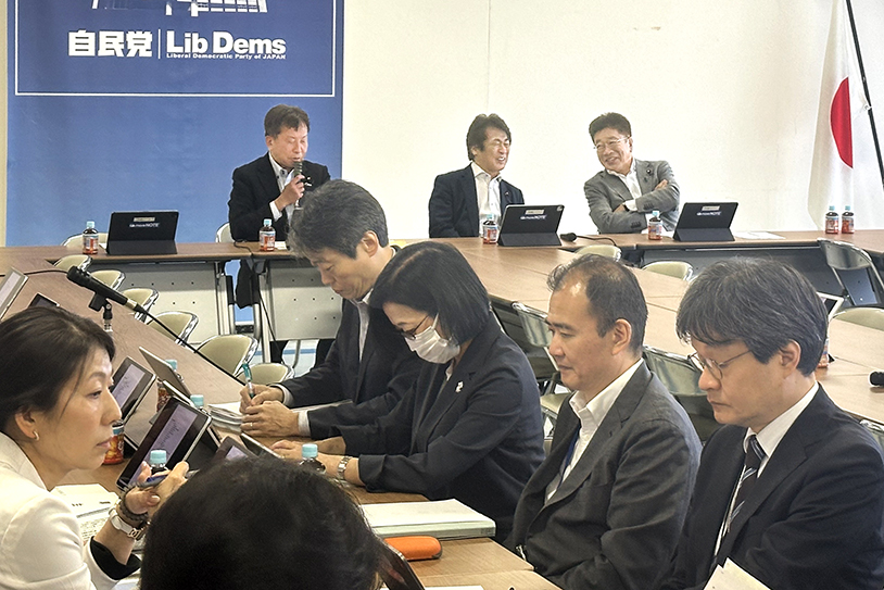 LDP Lawmakers Call for Expanded Budget for Pharma Innovation, Stable ...