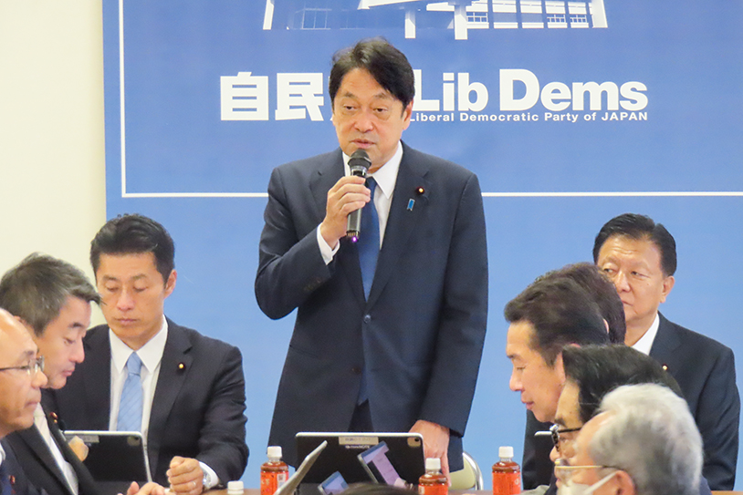 LDP Broadly OKs Draft Economic Package, Adds Text on FY2025 Revision ...